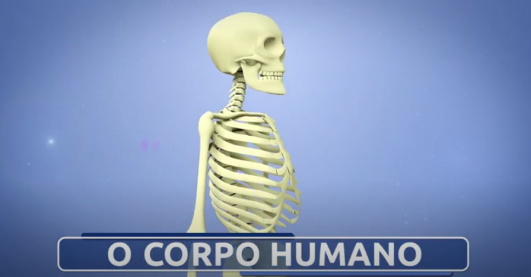 Ciências da Natureza – Conhecer e cuidar do corpo Humano – Conexão ...