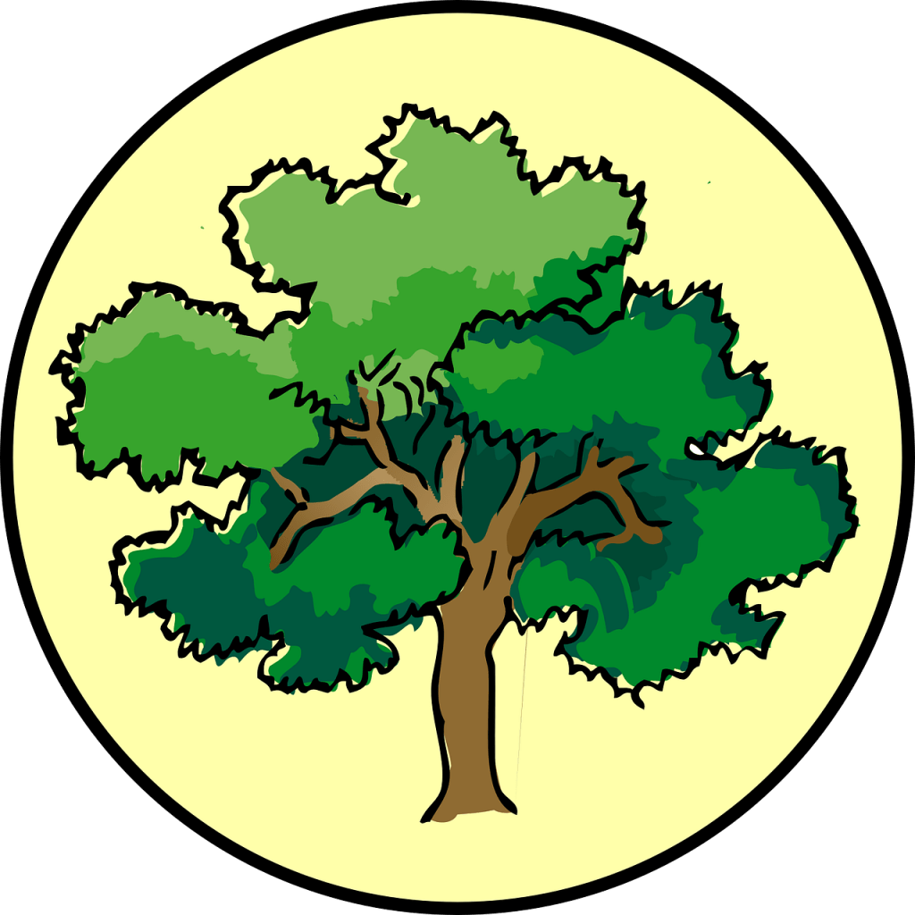 Geografia – A importância da preservação do Cerrado – Conexão Escola SME