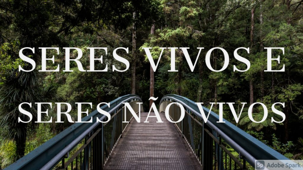 Seres vivos e seres não vivos no ambiente: características – Conexão ...
