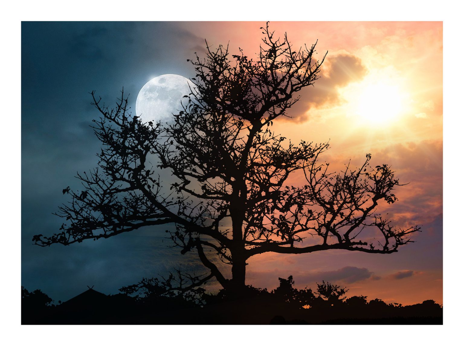 A percepção do Dia e da Noite e os Movimentos da Terra – Conexão Escola SME