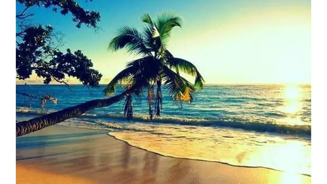 GEOGRAFIA – ESTAÇÕES DO ANO – VERÃO – Conexão Escola SME