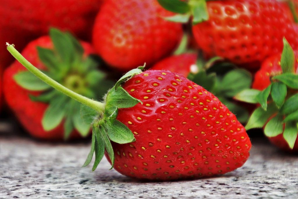 Ciências da Natureza – As frutas do Brasil – Conexão Escola SME