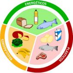Ciência da Natureza – Nutrientes no organismo – Conexão Escola SME