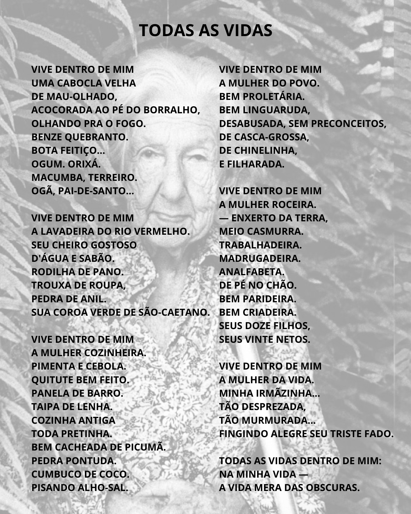 Cora Coralina – Conexão Escola SME