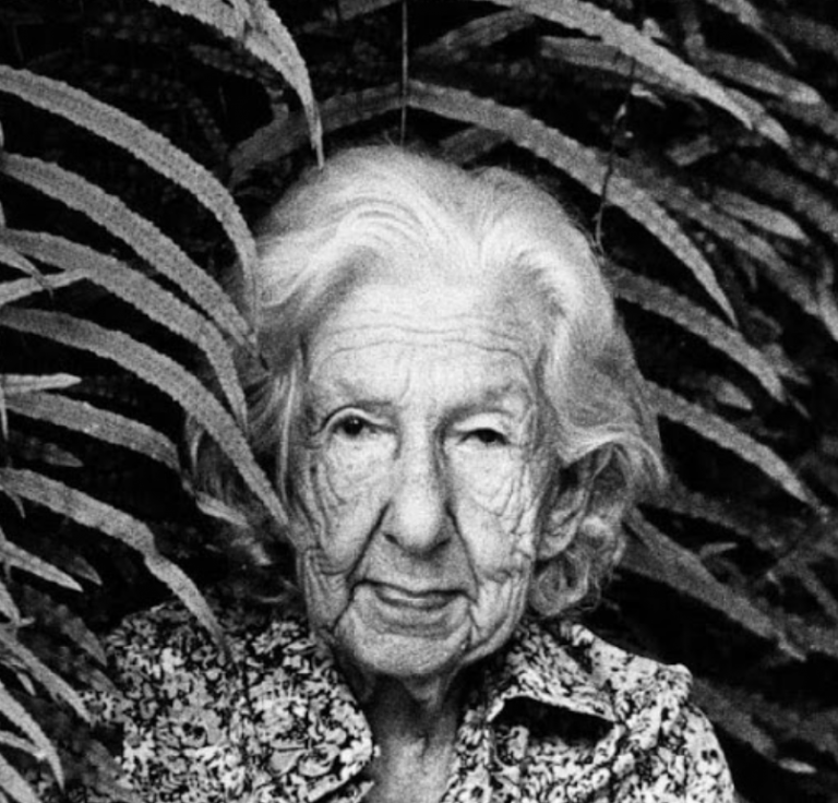 Língua Portuguesa e História – Cora Coralina – Conexão Escola SME