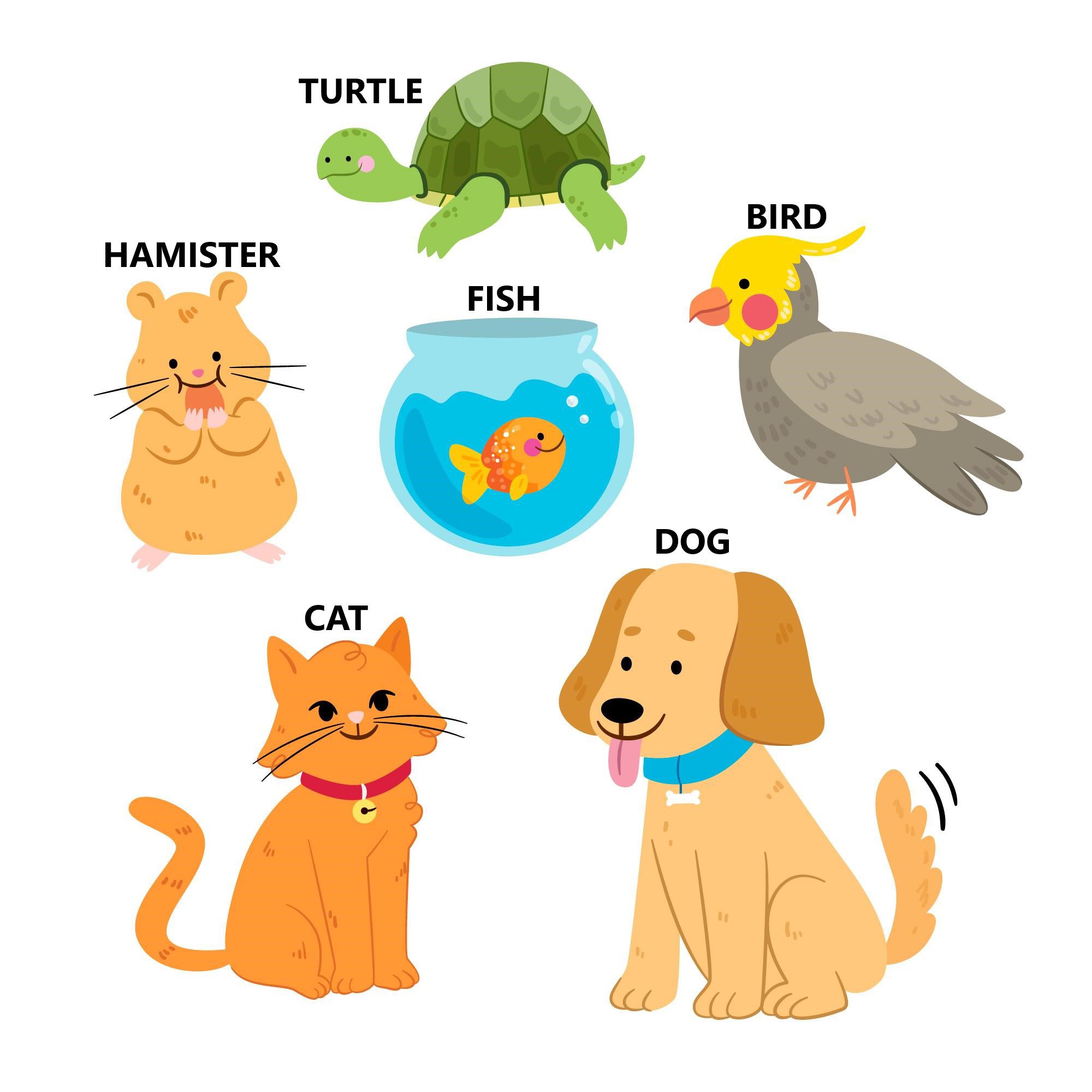 Animal De Estimação Em Ingles - FDPLEARN