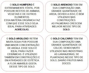 Ciências da Natureza – Os Tipos de solo – Conexão Escola SME