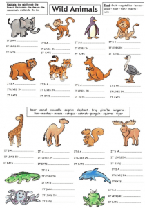 Língua Inglesa – Wild Animals (Animais selvagens) – Conexão Escola SME