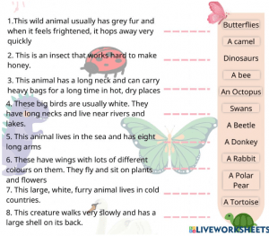 Língua Inglesa – Wild Animals (Animais selvagens) – Conexão Escola SME