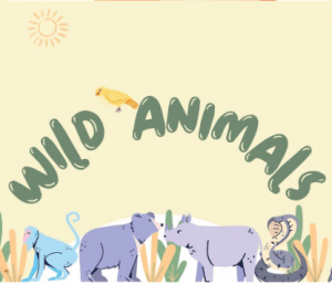 Língua Inglesa – Wild Animals (Animais selvagens) – Conexão Escola SME