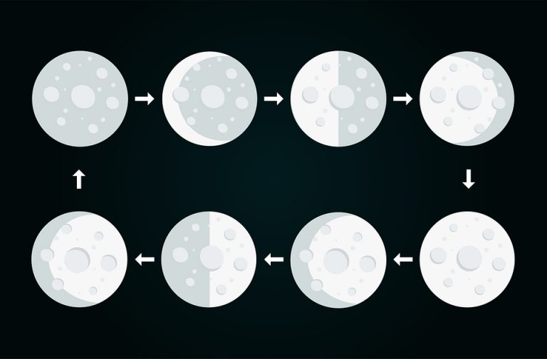 Ciências da Natureza – Fases da Lua – Conexão Escola SME