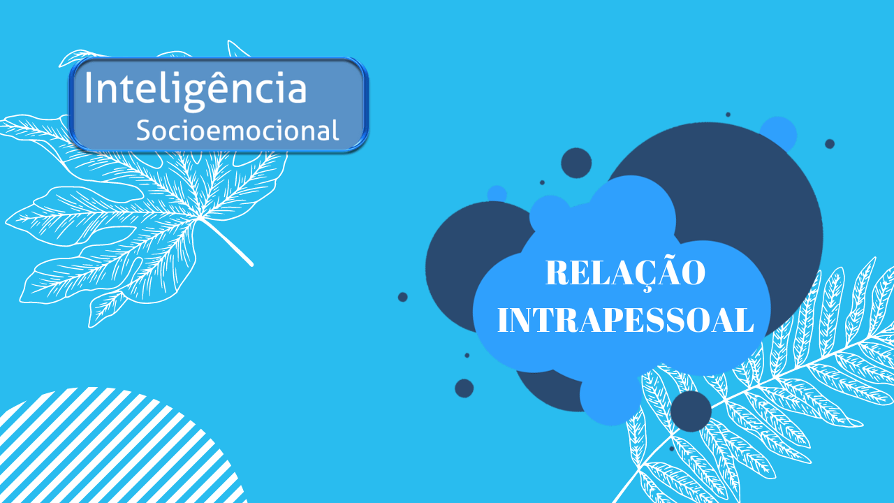 PROGRAMA INTELIGÊNCIA SOCIOEMOCIONAL: Relação Intrapessoal – Conexão ...