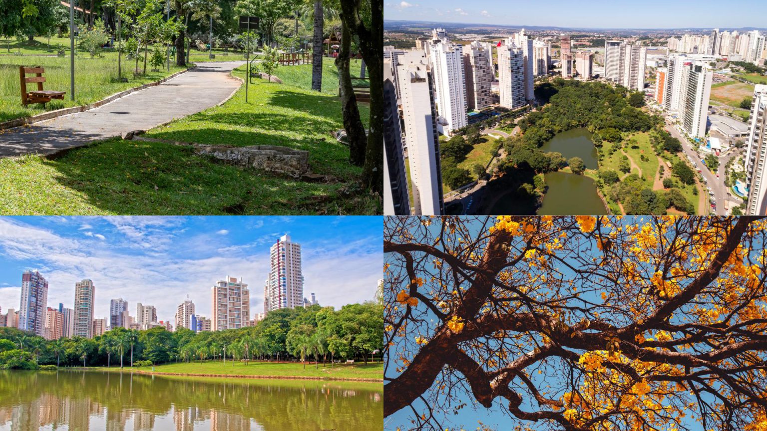 A CURIOSIDADE TÁ ON: As áreas verdes urbanas – Conexão Escola SME