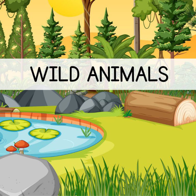 Língua Inglesa – Wild animals – Conexão Escola SME