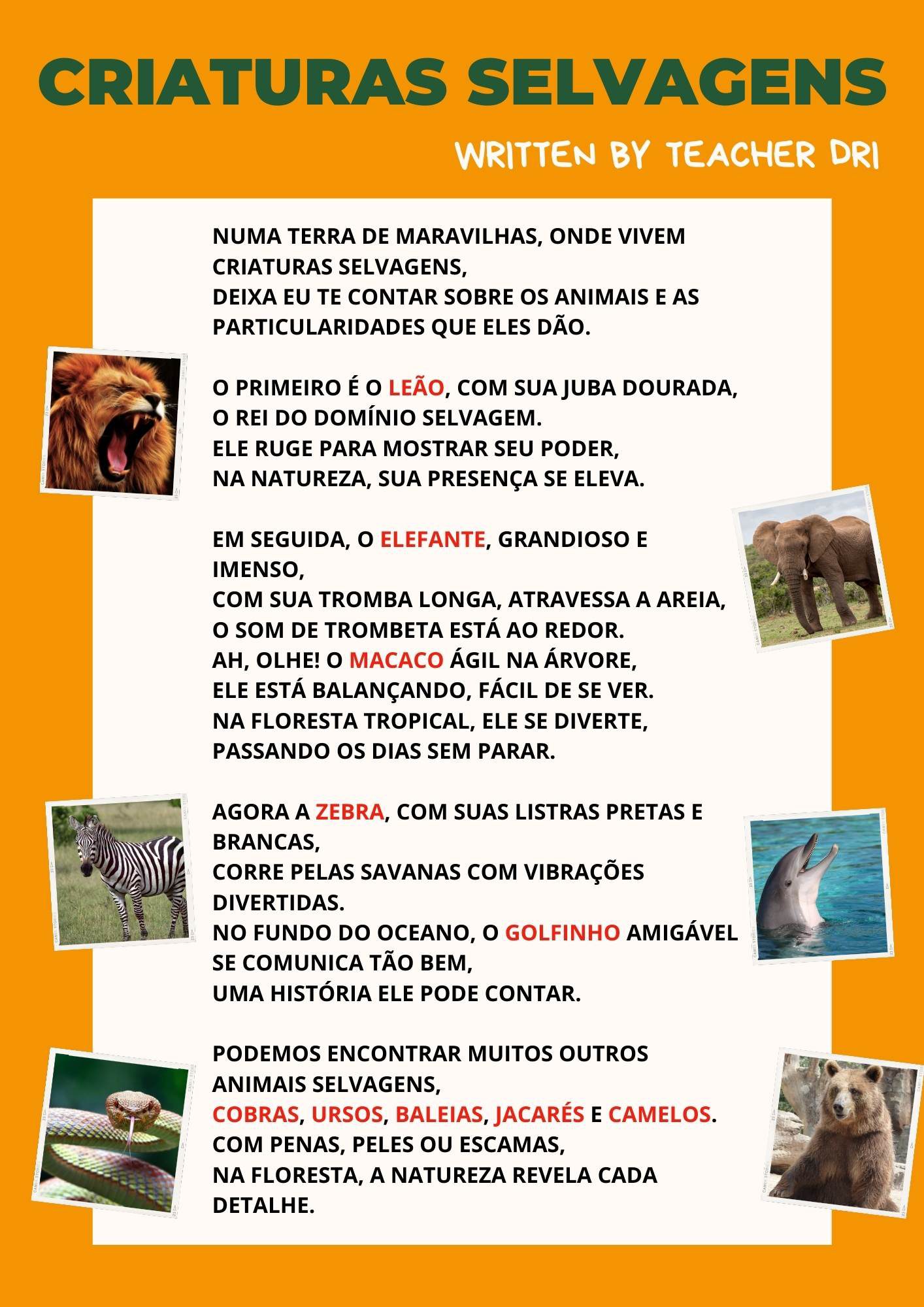 Língua Inglesa – Wild animals – Conexão Escola SME