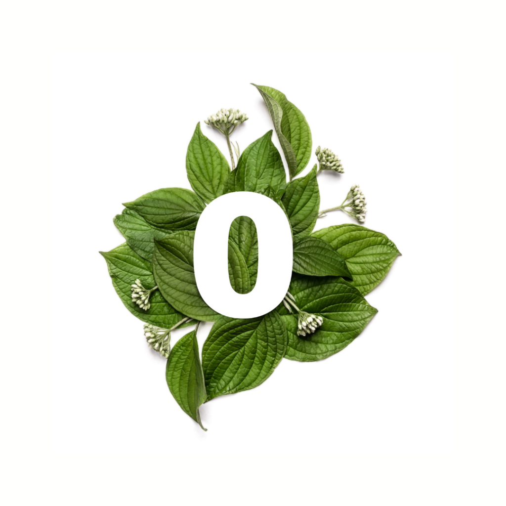 MATEMÁTICA – ZERO E O VALOR POSICIONAL – Conexão Escola SME