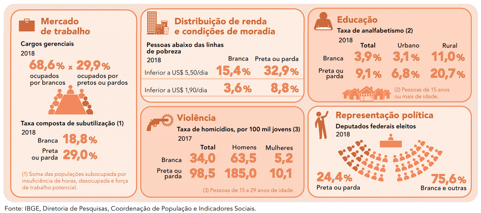 Geografia – Distribuição da população por cor ou raça e a desigualdade ...