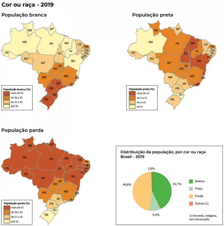 Geografia – Distribuição da população por cor ou raça e a desigualdade ...