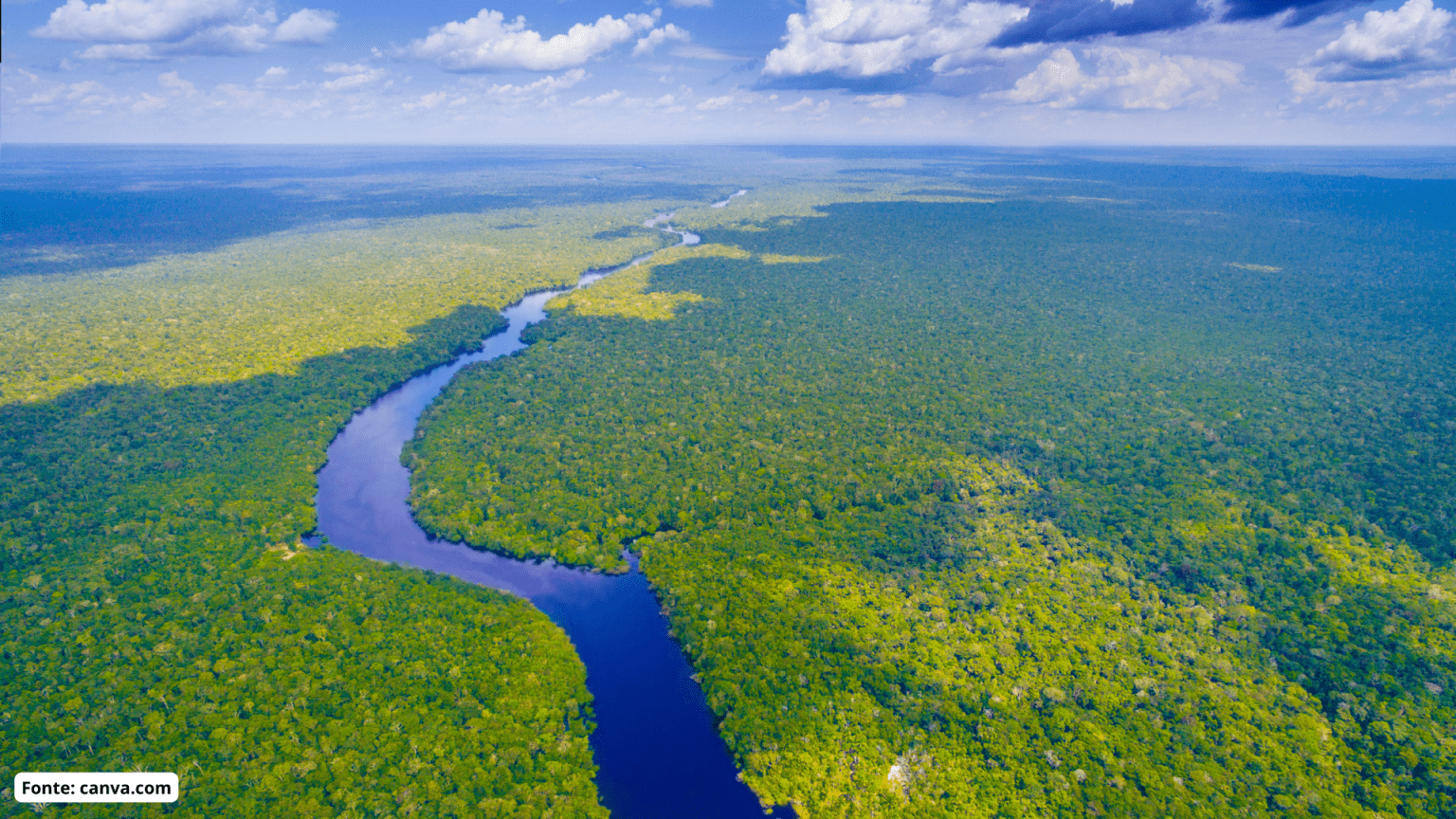 Geografia – O Bioma Amazônico – Conexão Escola SME