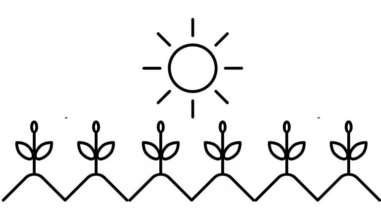 CIÊNCIAS DA NATUREZA – SOL: FONTE DE ENERGIA E LUZ – Conexão Escola SME