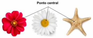 Matemática – Simetria: conceito, características e aplicações – Conexão ...