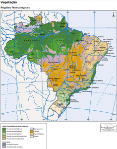 Geografia – O Domínio Morfoclimático: Mares de Morros – Conexão Escola SME