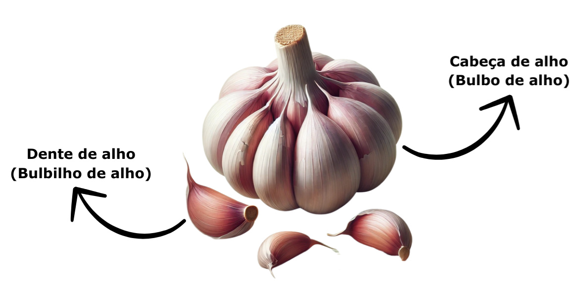 Língua Portuguesa – Figuras de palavras: catacrese e metonímia ...